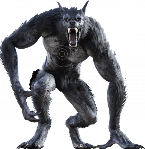 Archer Targets | Dianas para el arquero | Targets for archer | Dianas ...