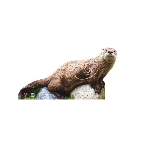 Nutria | Archer Targets | Dianas para el arquero | Targets for archer ...