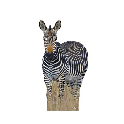 Zebra | Archer Targets | Dianas para el arquero | Targets for archer ...